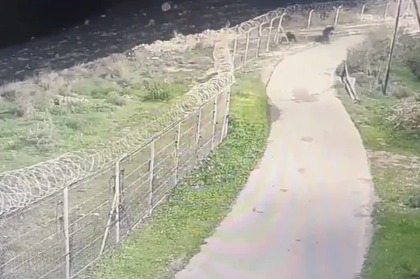 Major terror attack averted as IDF kills three terrorist infiltrators ...