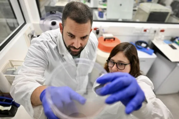 Israeli researchers develop experimental immune-based therapy for ...